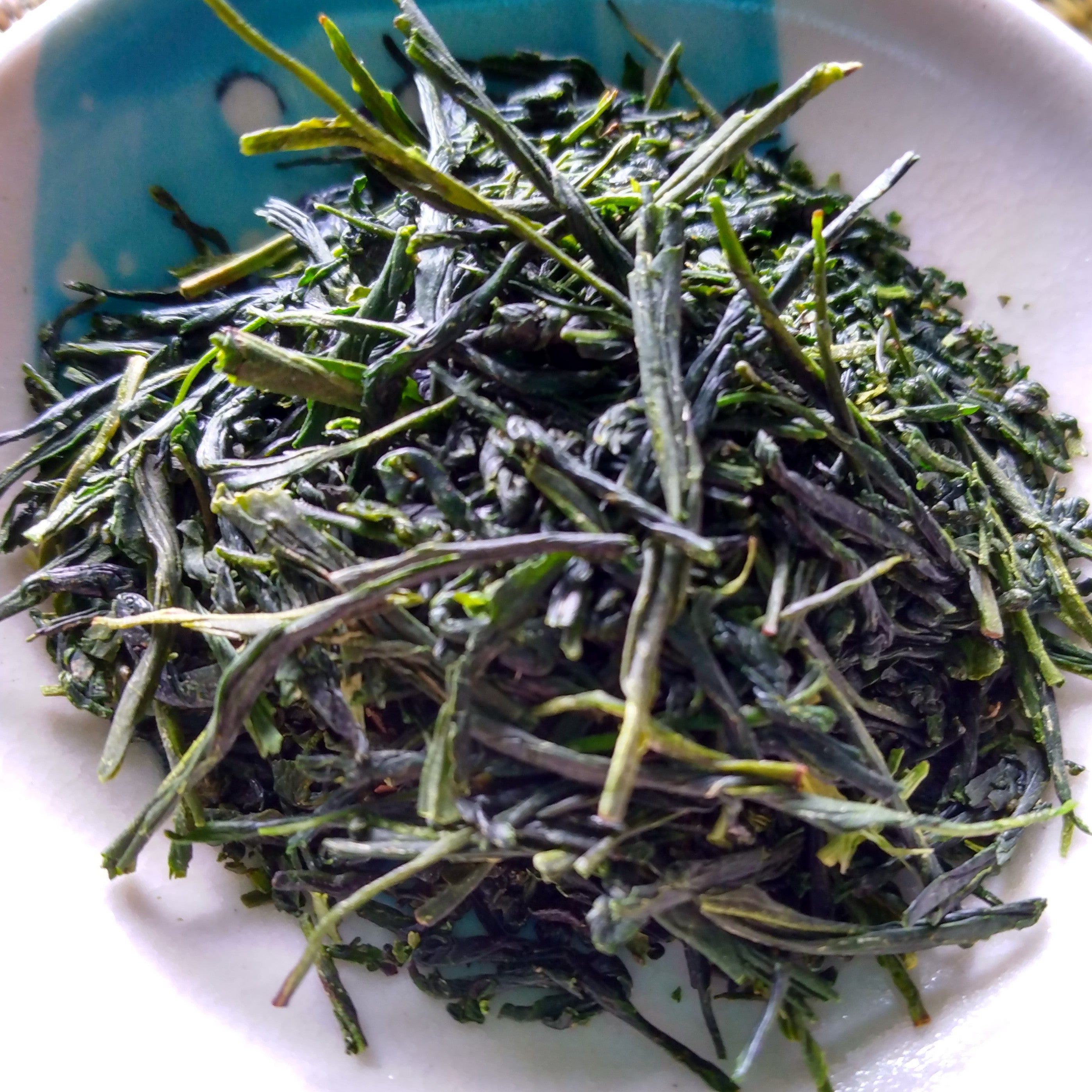 NEW Hand-picked Nakaisamurai Sencha, Kakishita no Ocha; Tenryu Village